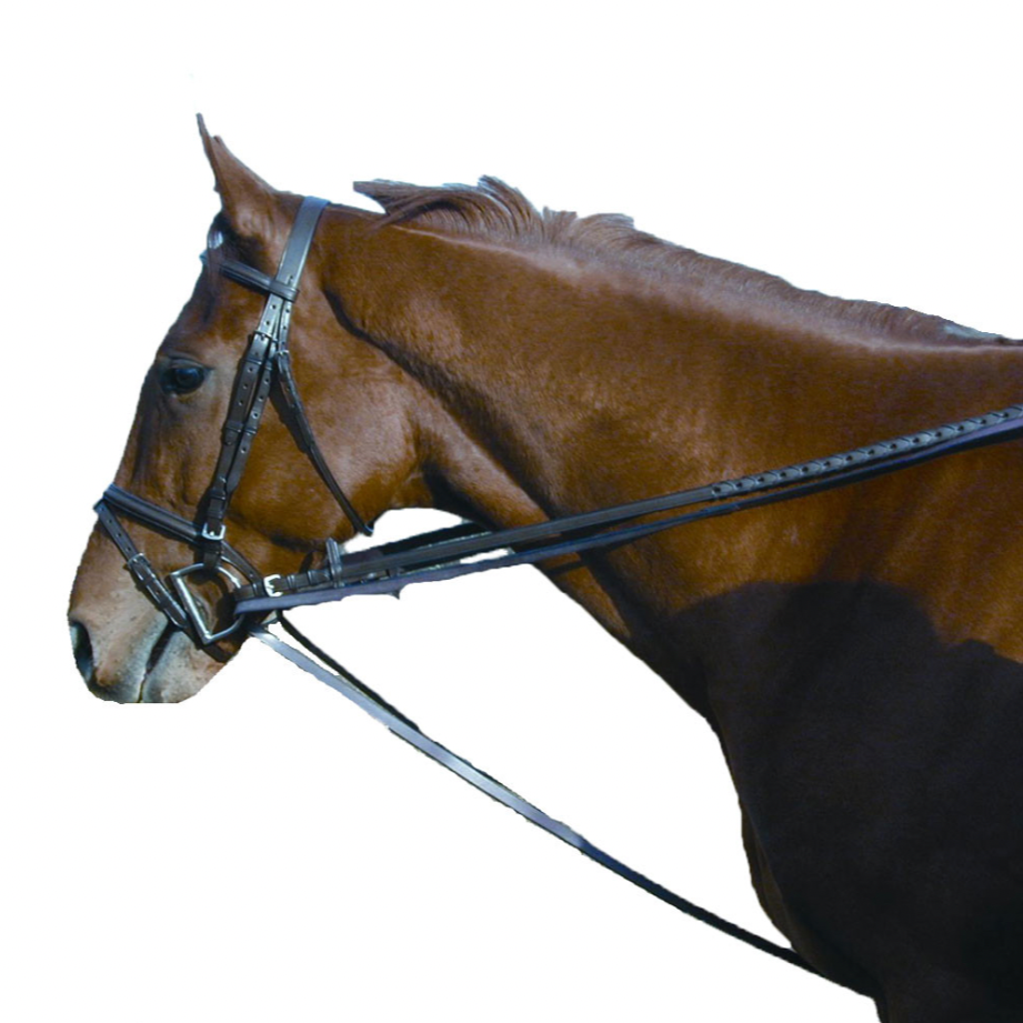 Leather Draw Reins With Snap Attachment – Shop The Classic Equestrian